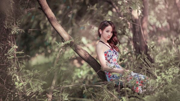 Wallpaper Sunlight Trees Forest Leaves Women Outdoors Blonde