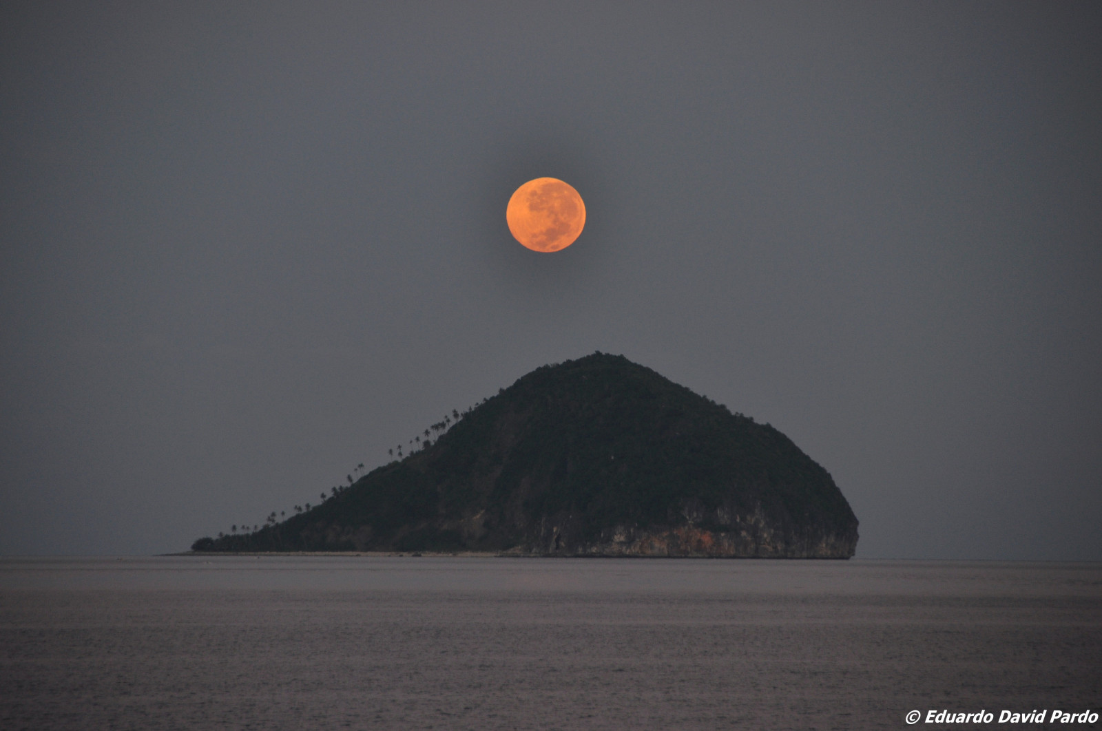 Wallpaper : landscape, sea, water, sunrise, Moon, morning, moonlight ...