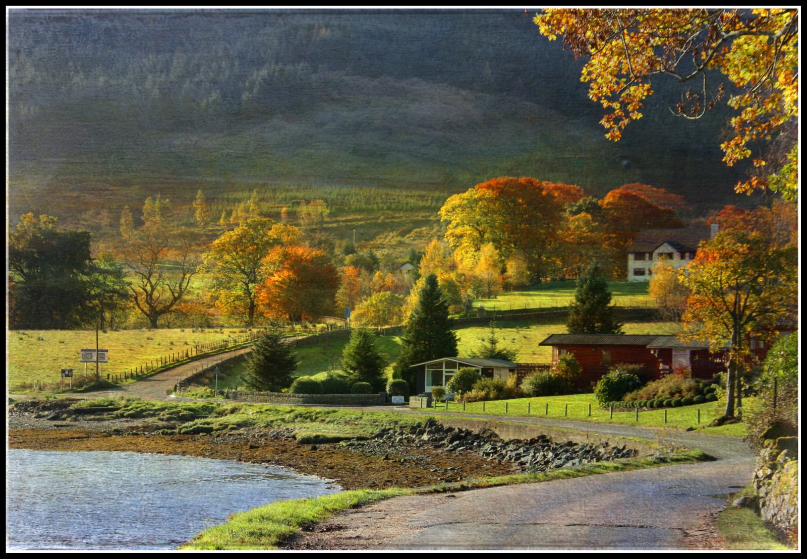 Obrázky na plochu : cestné, jeseň, stromy, vrch, farba, textúra ...