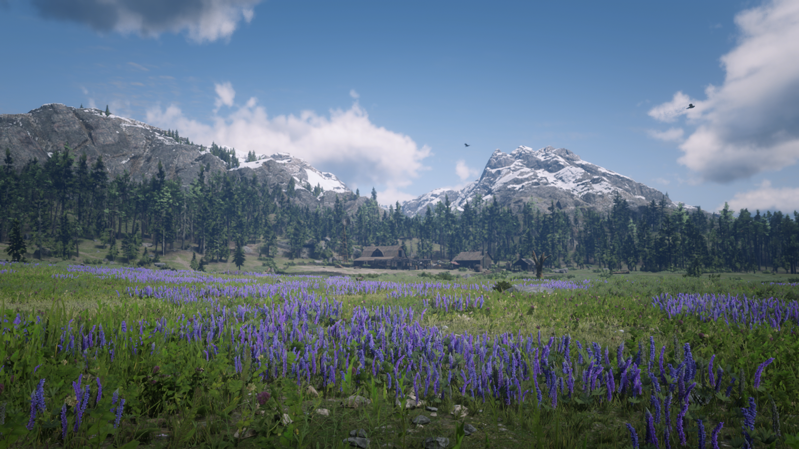 Bakrunner : Playstation 4, Red Dead Redemption 2, videospill 1920x1080 ...