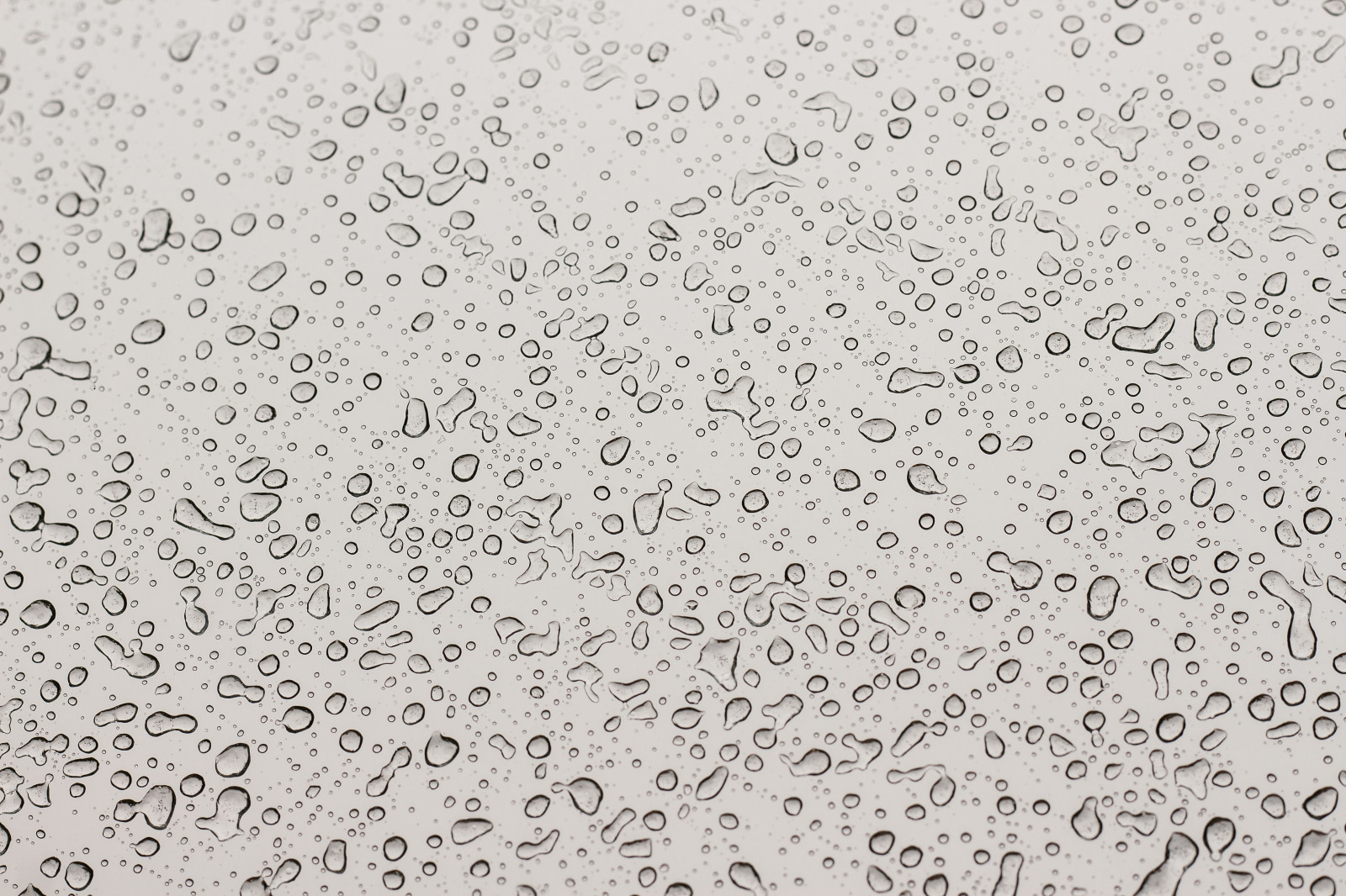 Wallpaper Drops Surface Moist Light 5184x3456 Wallhaven Wallpaper Drops Surface Moist Light 5184x3456 Wallhaven