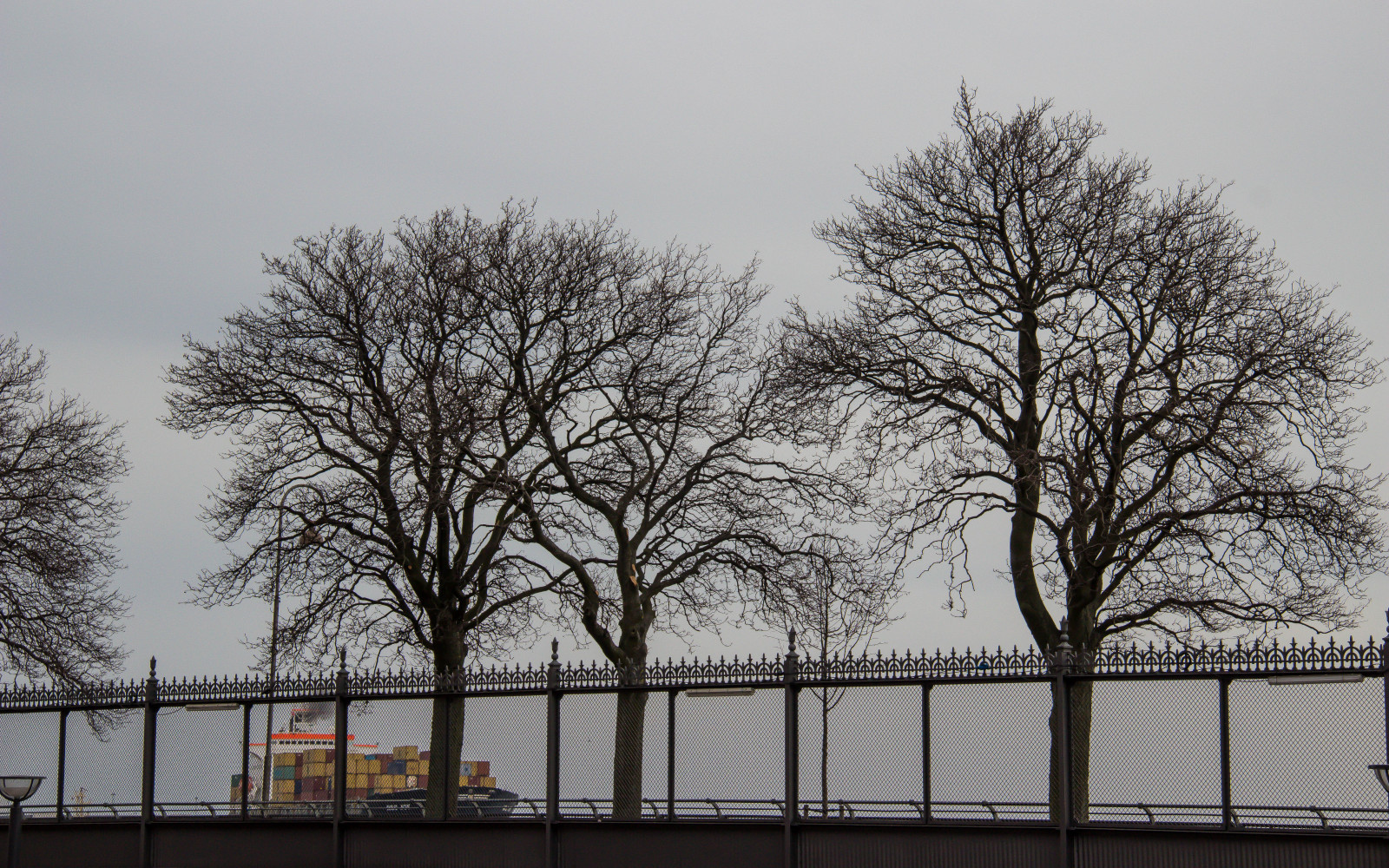 Wallpaper : snow, winter, branch, morning, fence, Denmark, Copenhagen ...