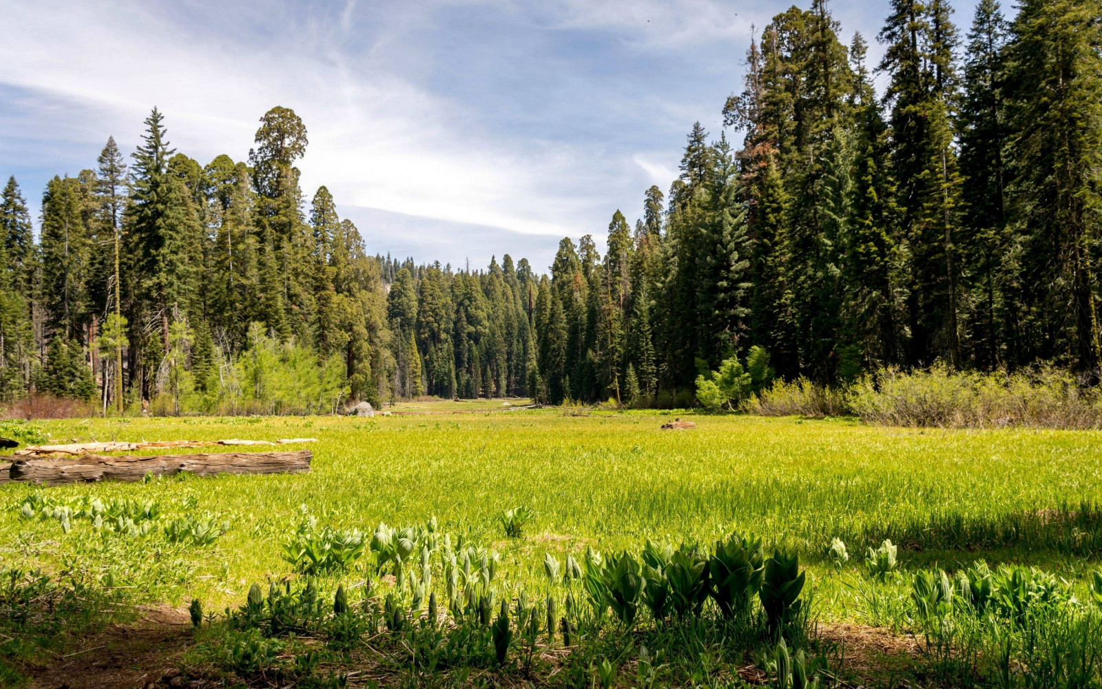 Wallpaper : 3000x1875 px, grass, landscape 3000x1875 - - 991879 - HD ...