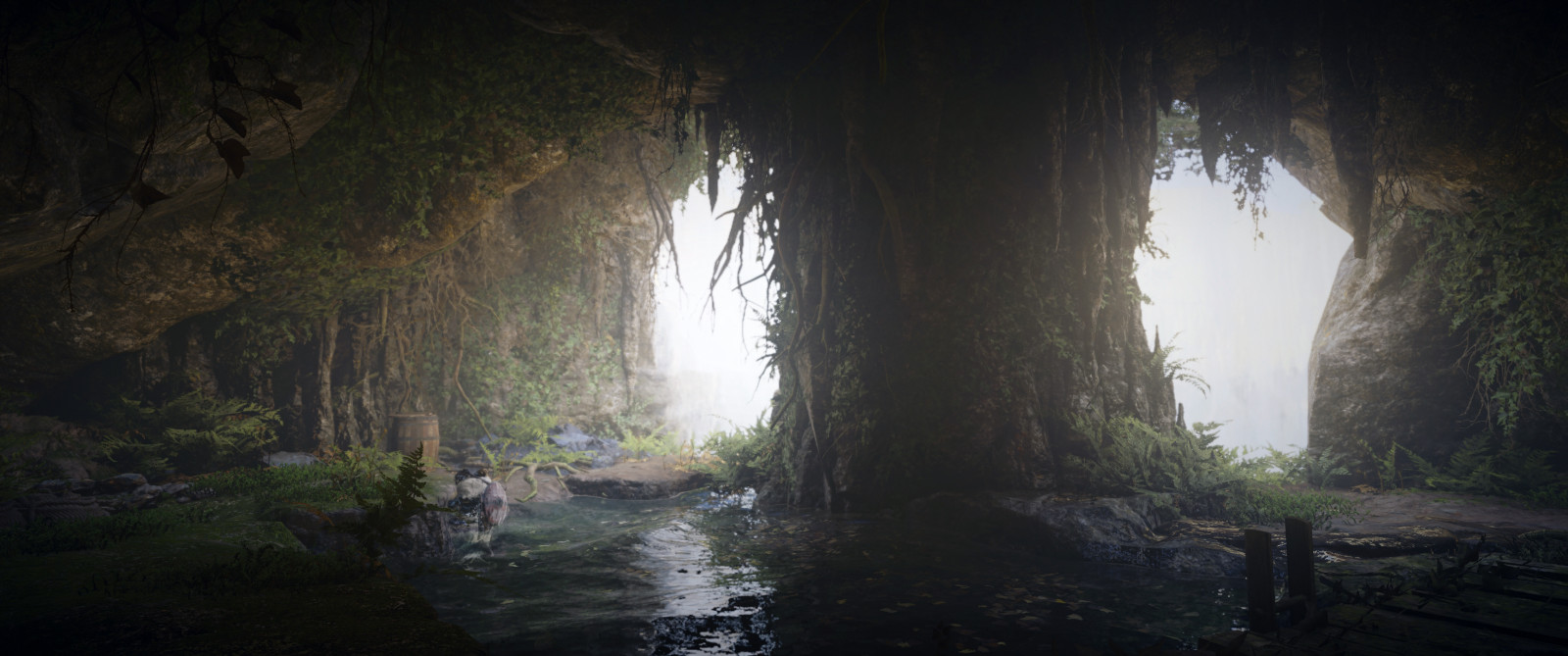 Wallpaper : water, Natural landscape, wood, branch, trunk, atmospheric ...