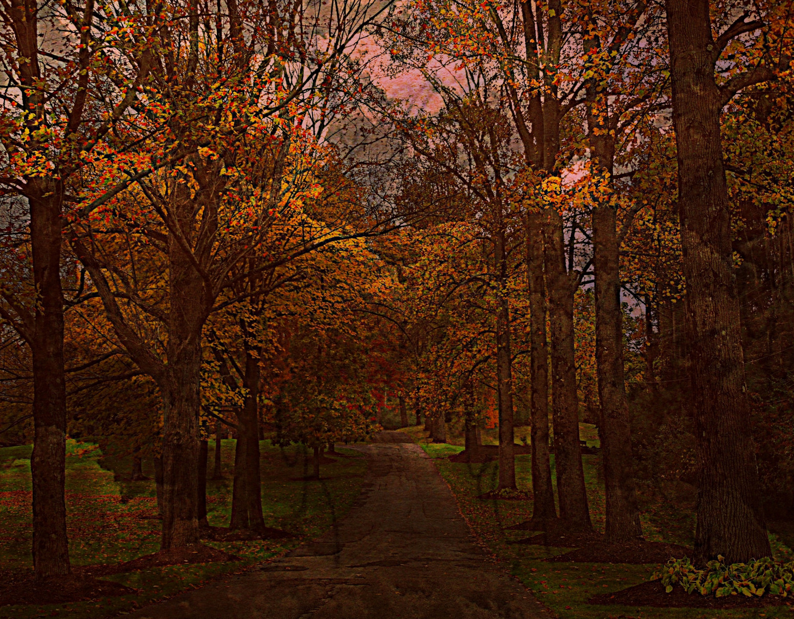 Wallpaper : road, autumn, trees, Ohio, fall, nature, beauty ...