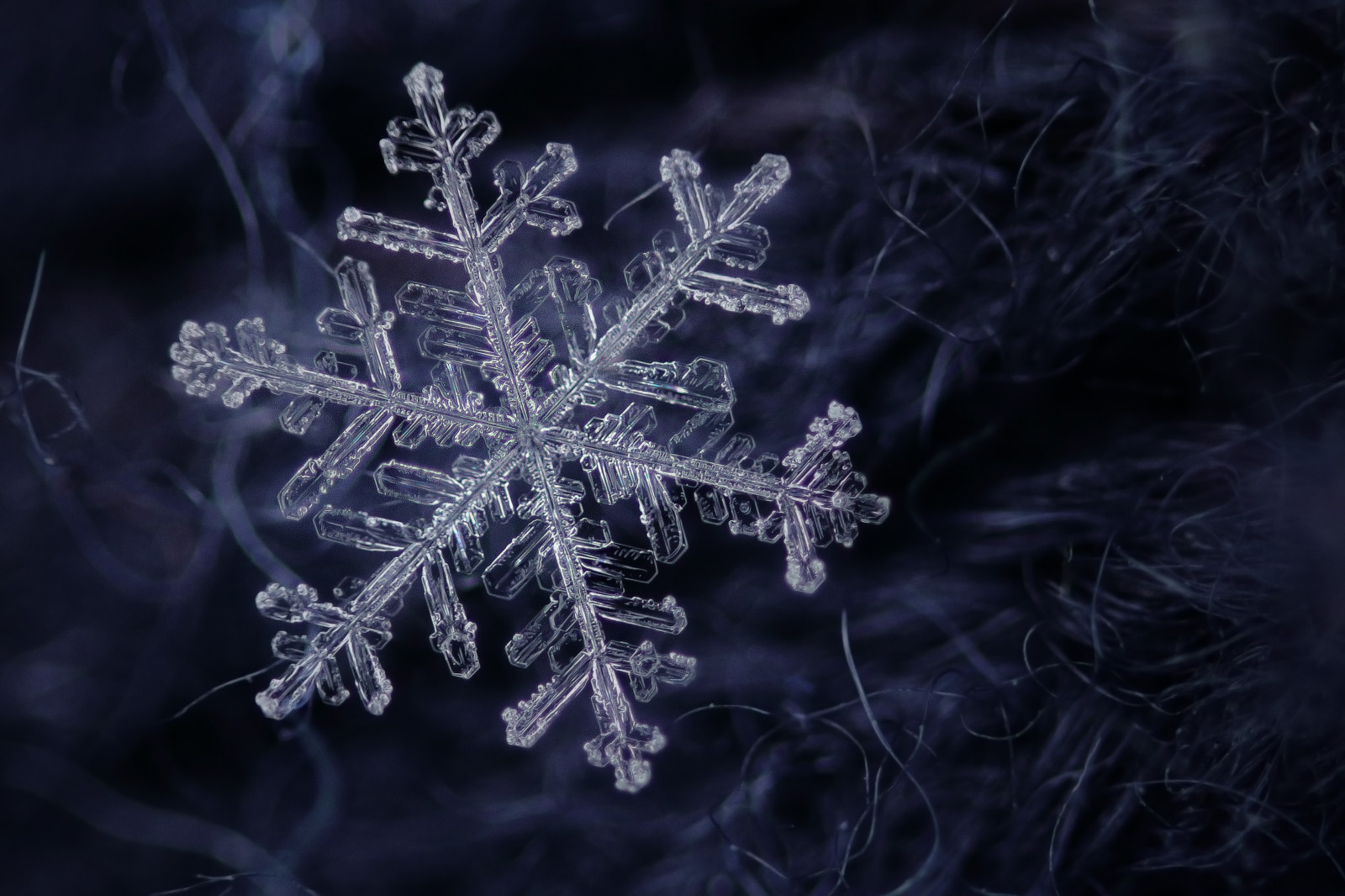 Real Snowflake Desktop Wallpaper