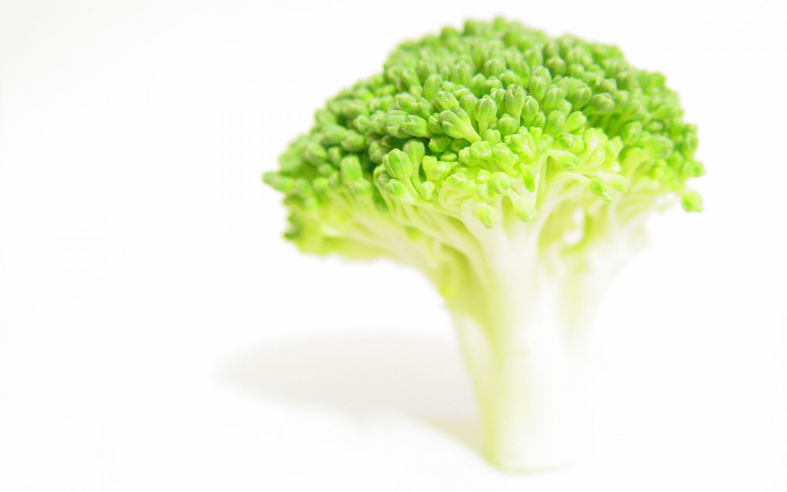 Wallpaper : makanan, Sayuran, hijau, Brokoli, menghasilkan, sayur-mayur ...