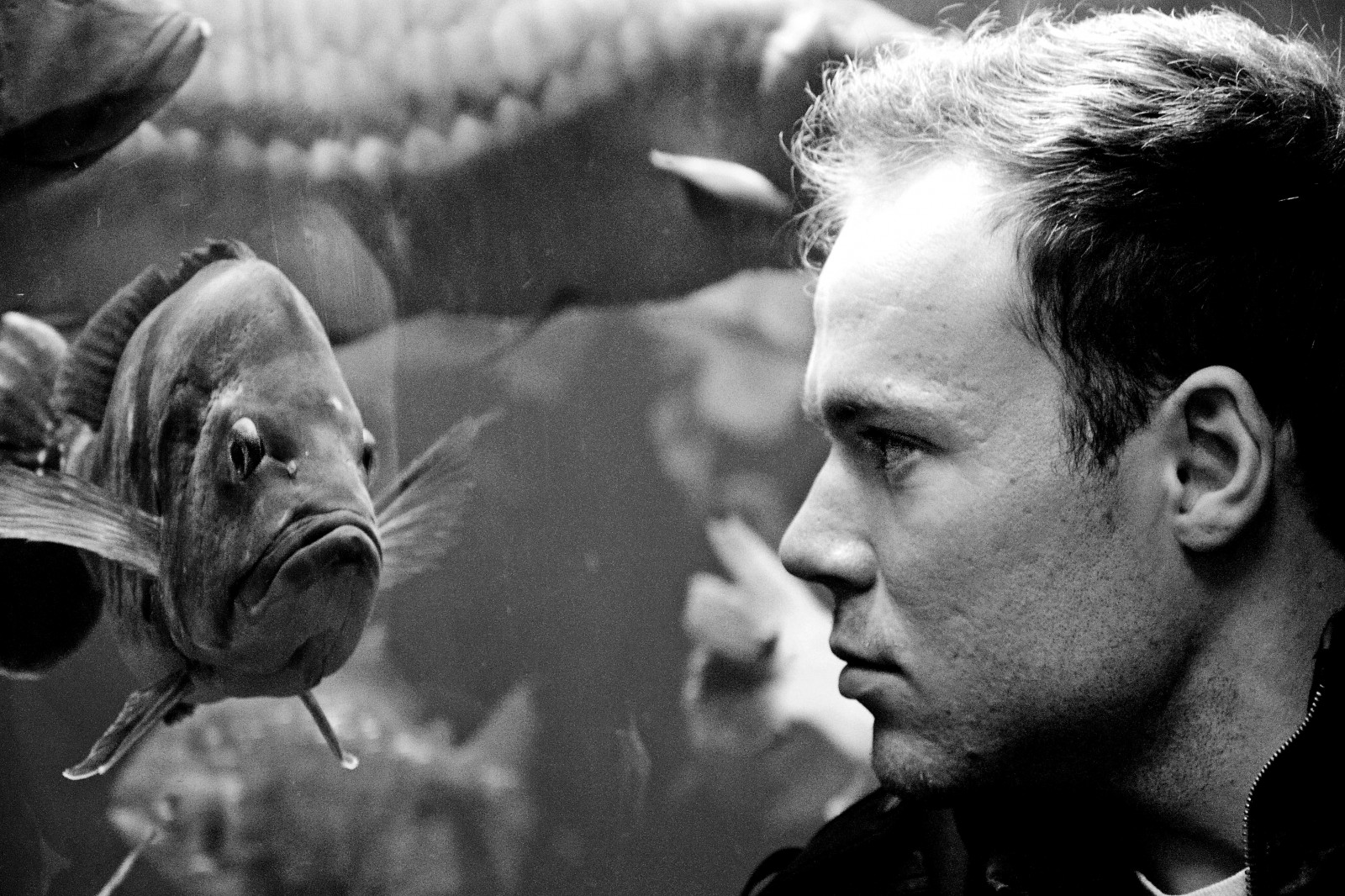 Bakgrundsbilder : stad, fisk, man, berlin, vatten, djur-, Tyskland ...