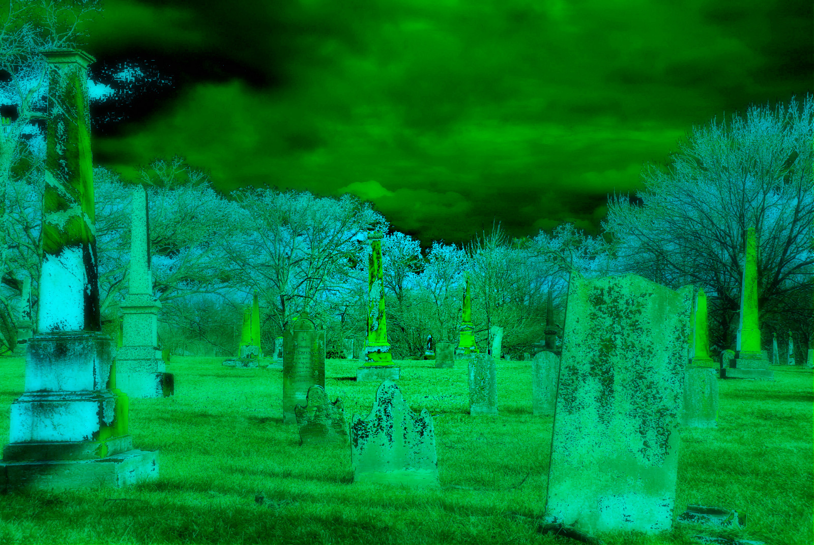 Wallpaper : sunlight, landscape, forest, nature, grass, spooky, green ...