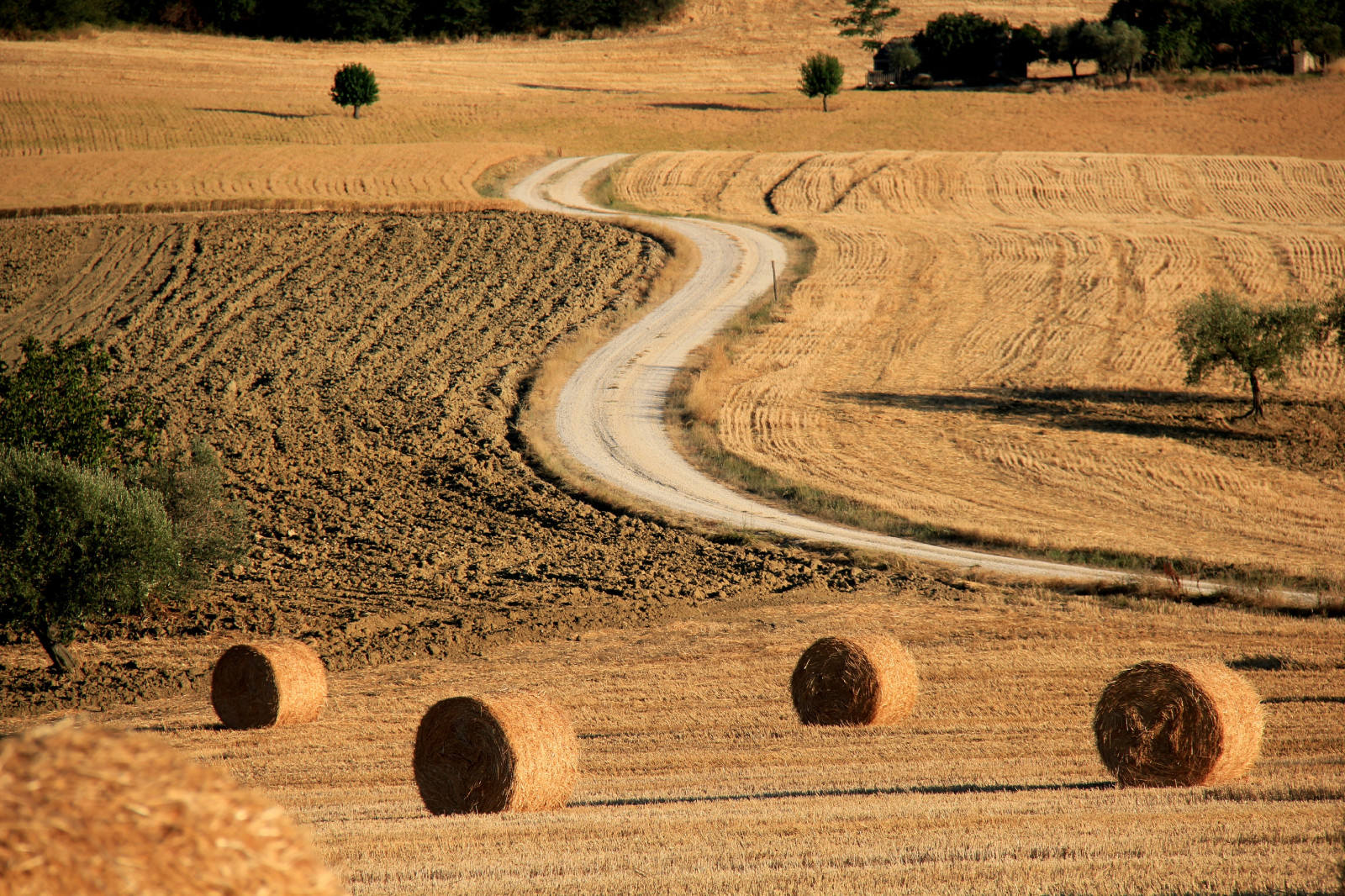Sfondi : estate, rurale, paesaggio, tenuta, campagna, paesaggi, marche ...
