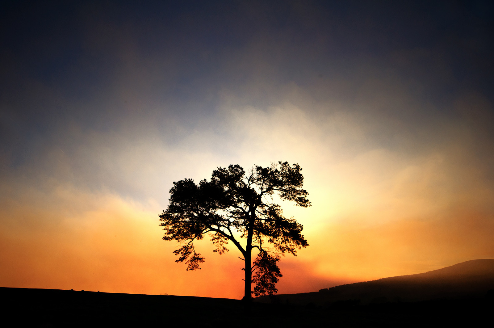 Achtergronden : zonlicht, landschap, zonsondergang, hemel, veld ...
