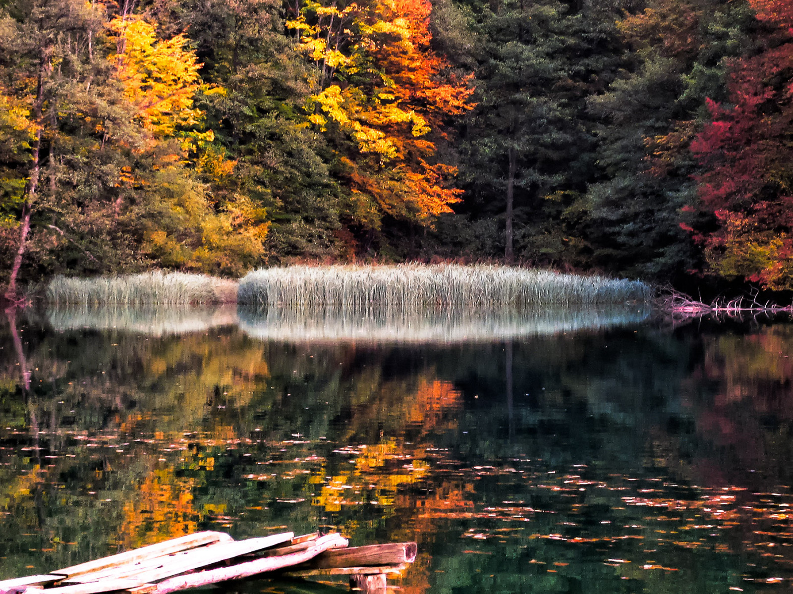 Wallpaper : autumn, color, Canon, 2007, plitvice 1807x1355 - - 1125396 ...