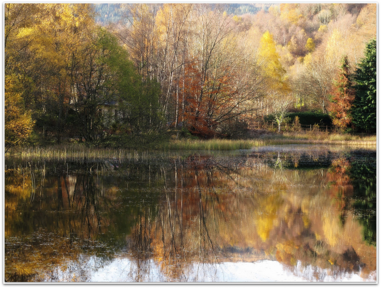 Wallpaper : autumn, Canon, walking, Scotland, dundee, perthshire ...