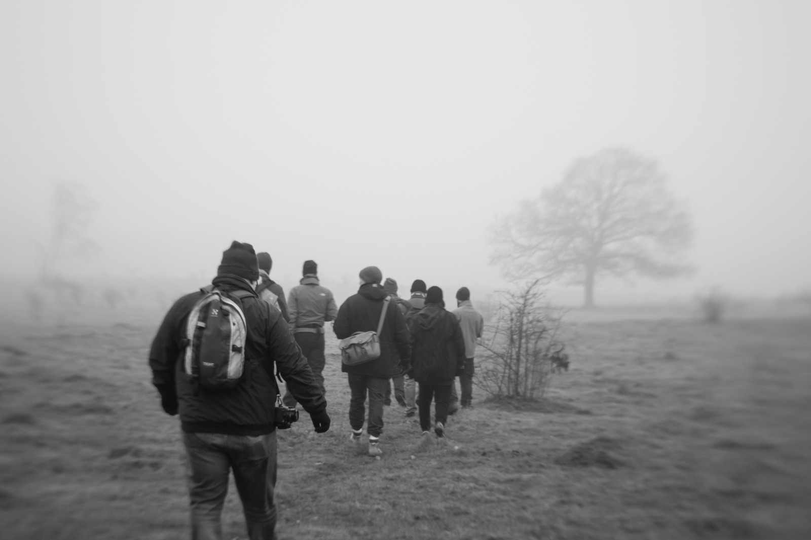 Wallpaper : people, winter, mist, photographer, fog, weather, m nniska ...