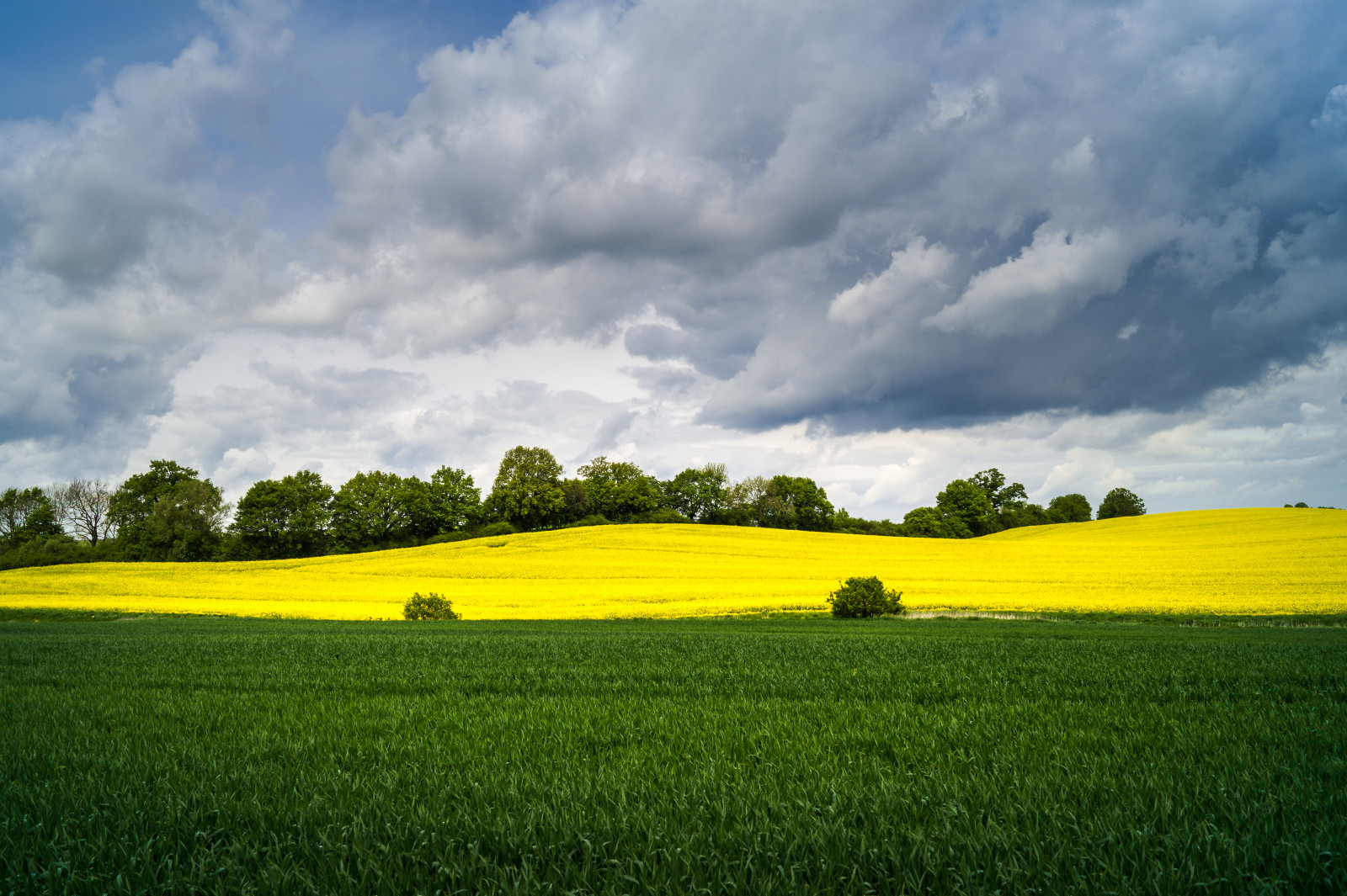 Wallpaper : hijau, alam, kuning, awan-awan, pemandangan, natur, wolken ...