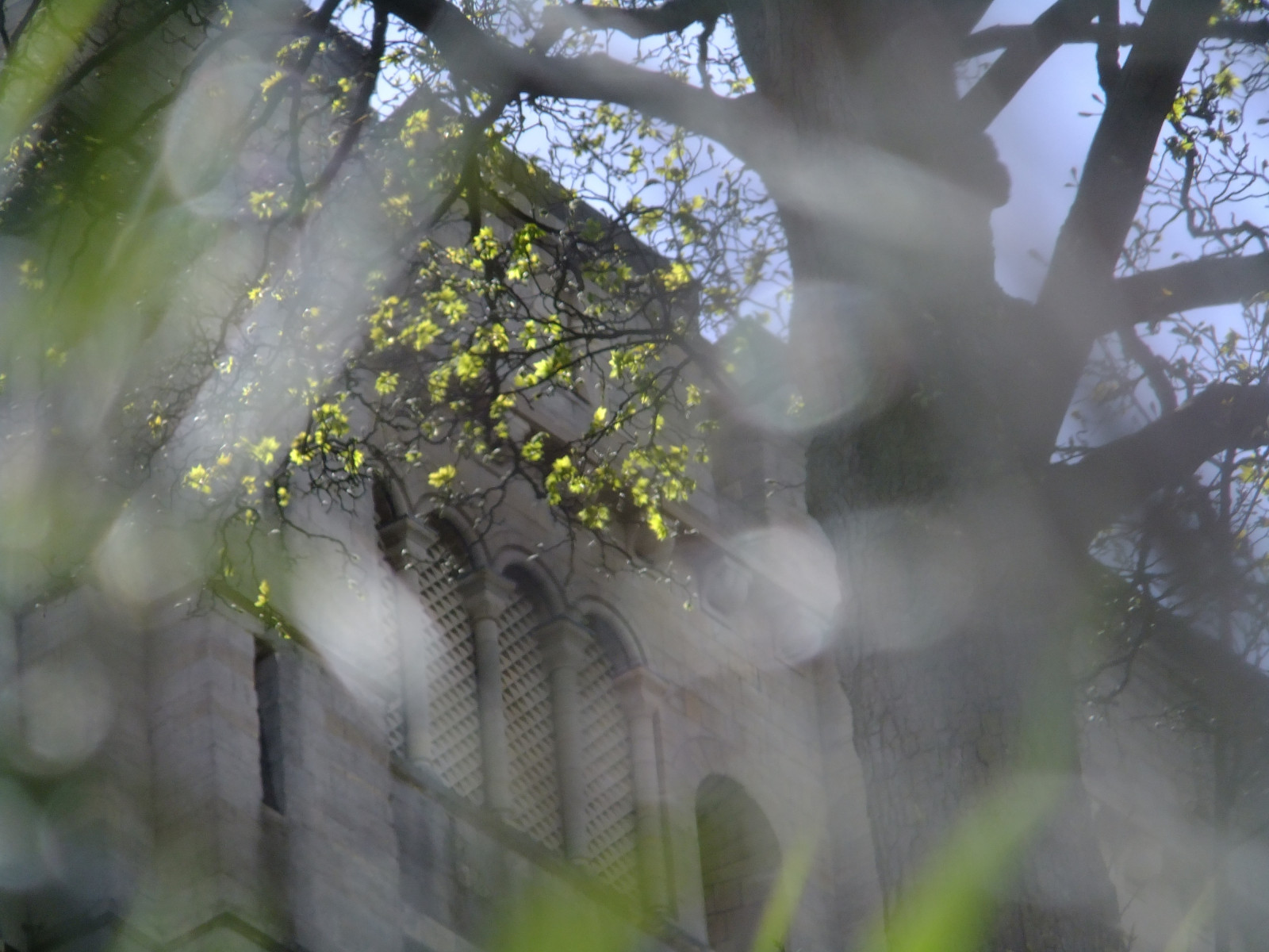 Wallpaper : trees, tree, green, castle, arch, fort, norfolk, arches ...
