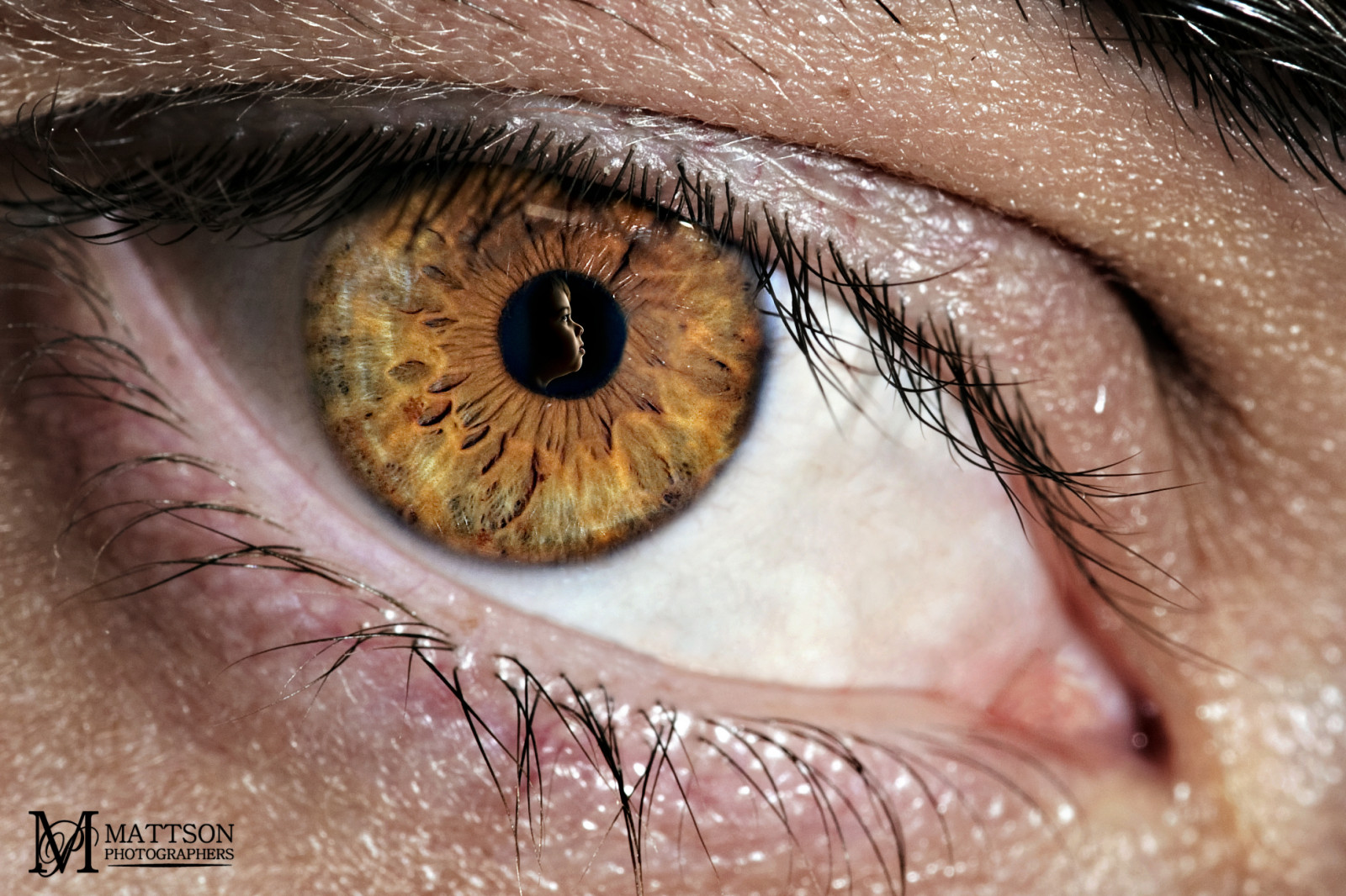 Wallpaper : Iris, brown, newyork, macro, reflection, eye, suffolk ...