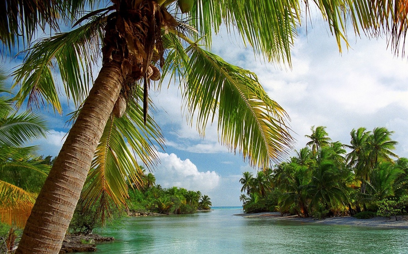 Bakgrundsbilder : 1300x812 px, strand, moln, ö, landskap, natur, Palmer ...