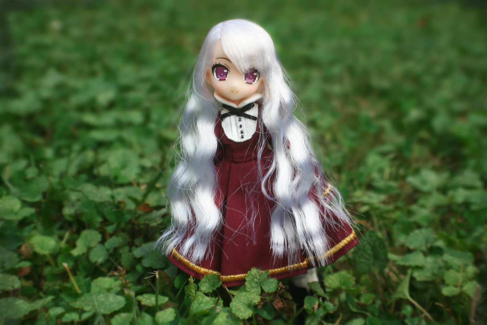 Wallpaper : imut, skala, ceri, Mainan, mainan, serigala, boneka, gaun ...