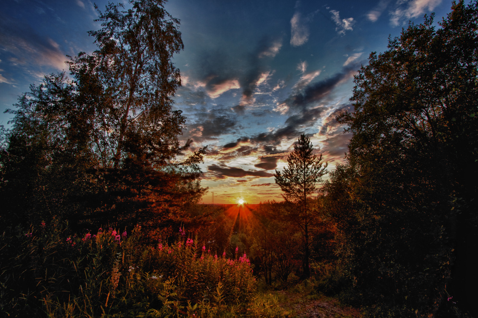 Obrázky na plochu : slnečnému žiareniu, krajina, pestrý, les, západ ...