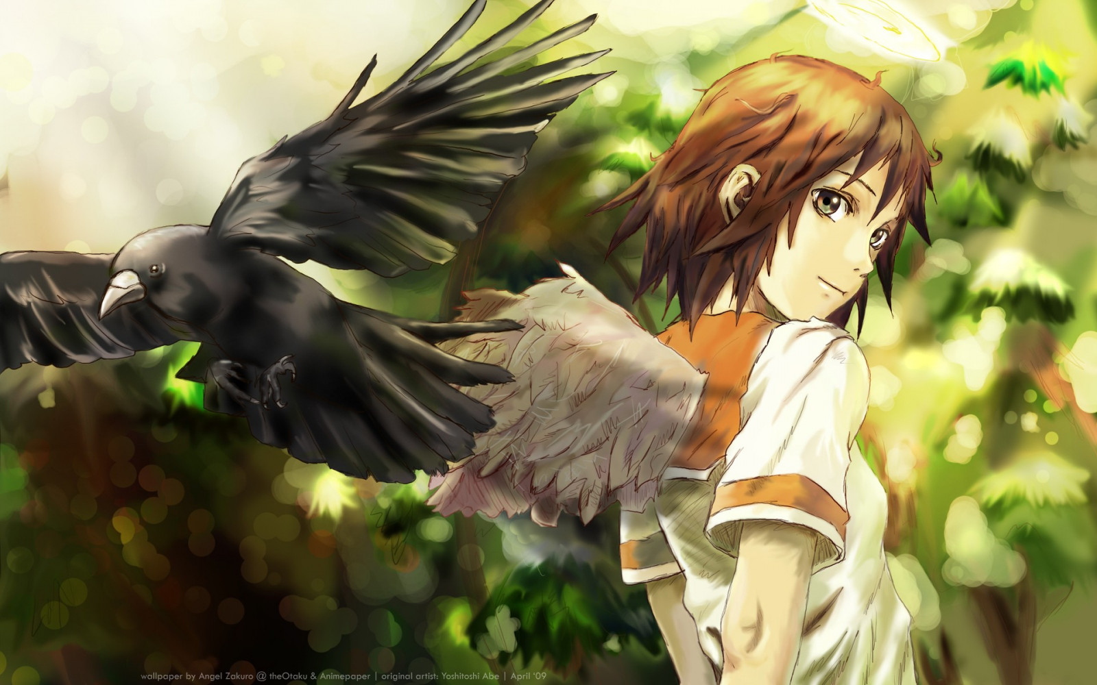 Hình nền : Chim, Anime, cánh, Thần thoại, Nhìn phía sau, Haibane Renmei ...