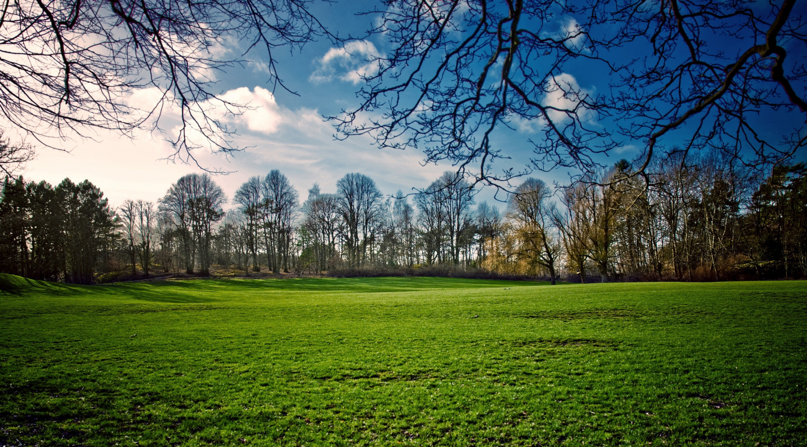 Wallpaper Sunlight Landscape Forest Nature Grass Sky Field