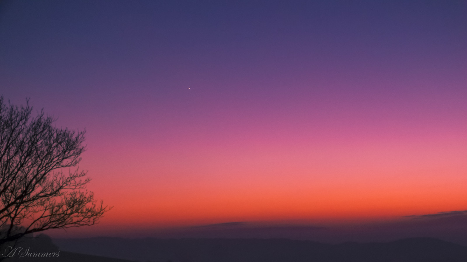 Wallpaper : UK, travel, pink, trees, sunset, sky, Sun, mist, nature ...