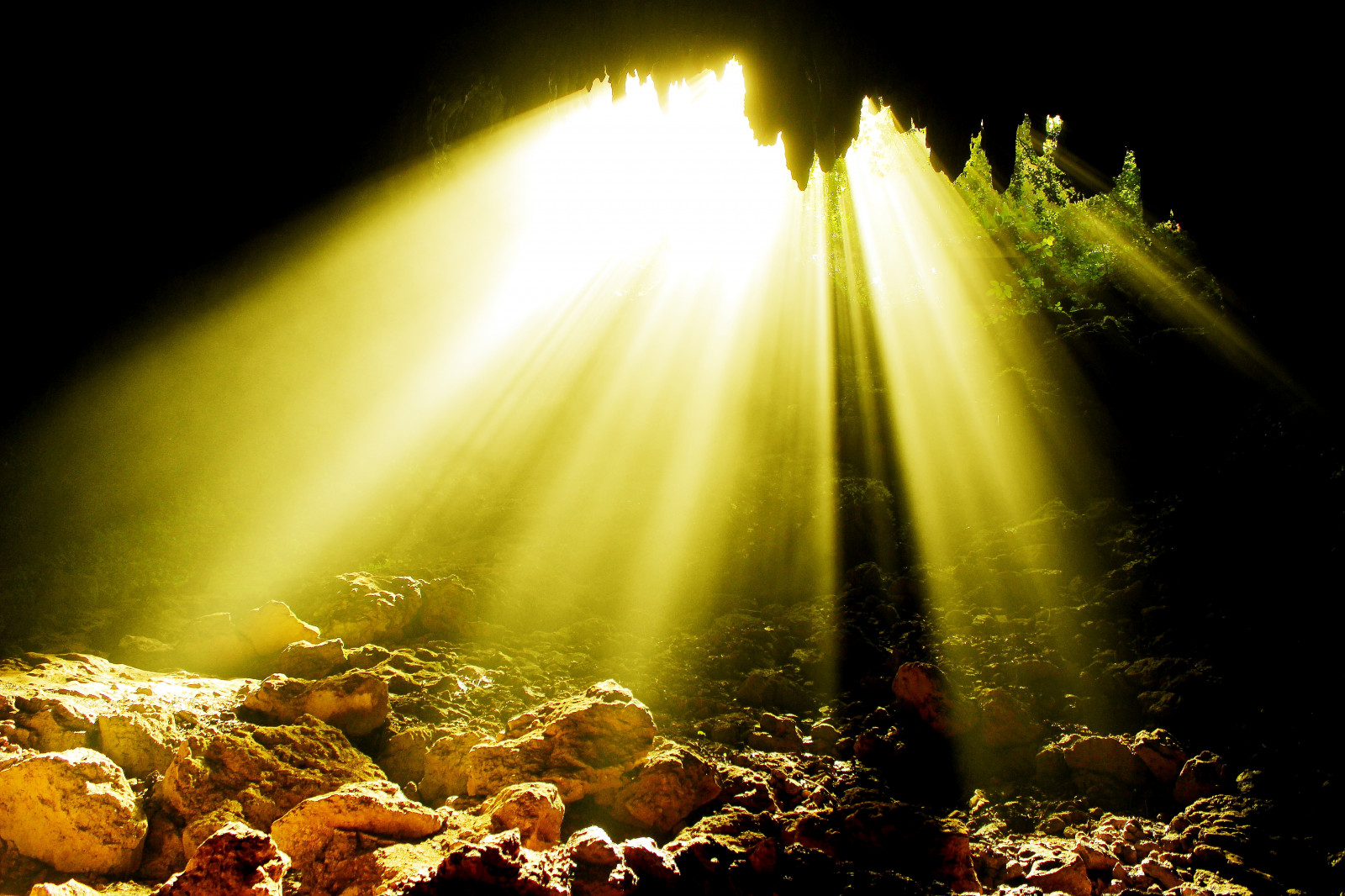 Wallpaper : sunlight, landscape, night, water, nature, sky, light, tree ...