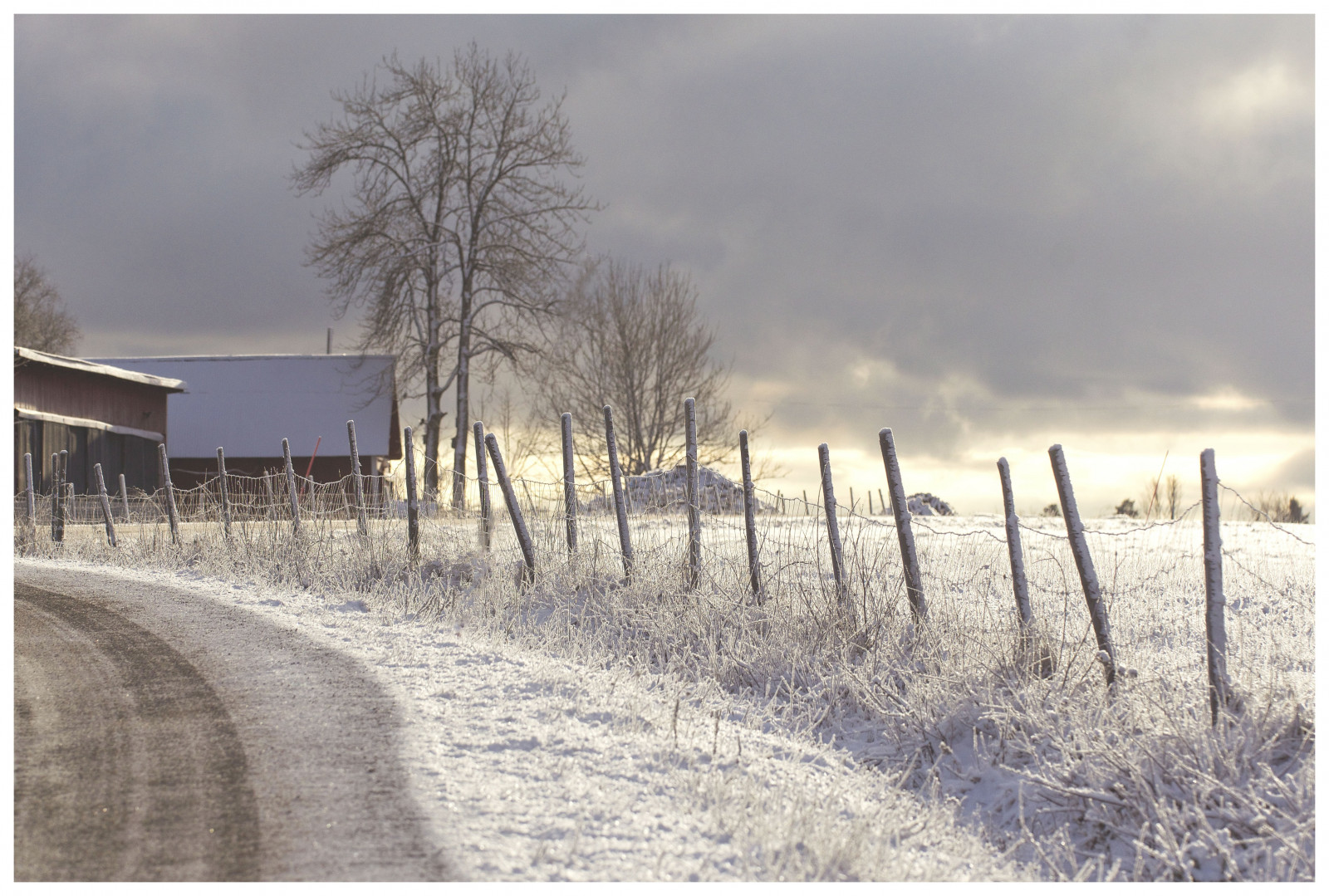 Windy Winter Wallpapers