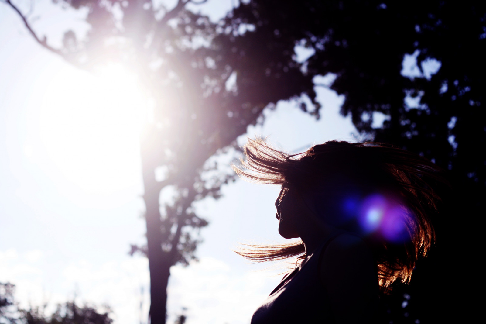 Wallpaper : sunlight, trees, purple, silhouette, blue, Canon, hair ...