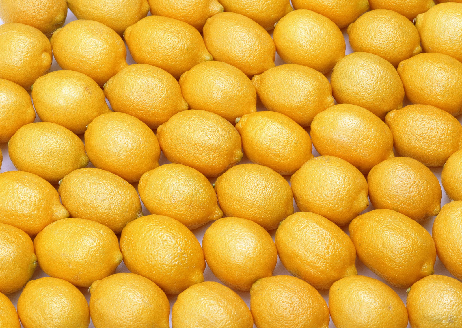 Tapety : ovoce, mandarinka, oranžový, citrus, Clementine, Pozadí ...
