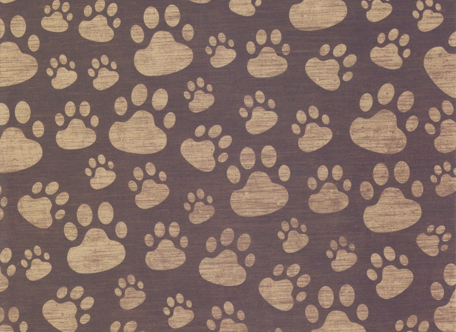 Wallpaper : footprints, paw, surface, texture 1920x1400 - - 671277 - HD ...
