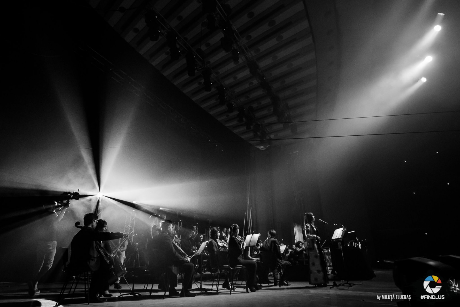 배경 화면 : 사진술, yanga Bold, 콘서트, 회색, 거룻배, 악기, 음악가, 가수, 카메라 2048x1368 ...