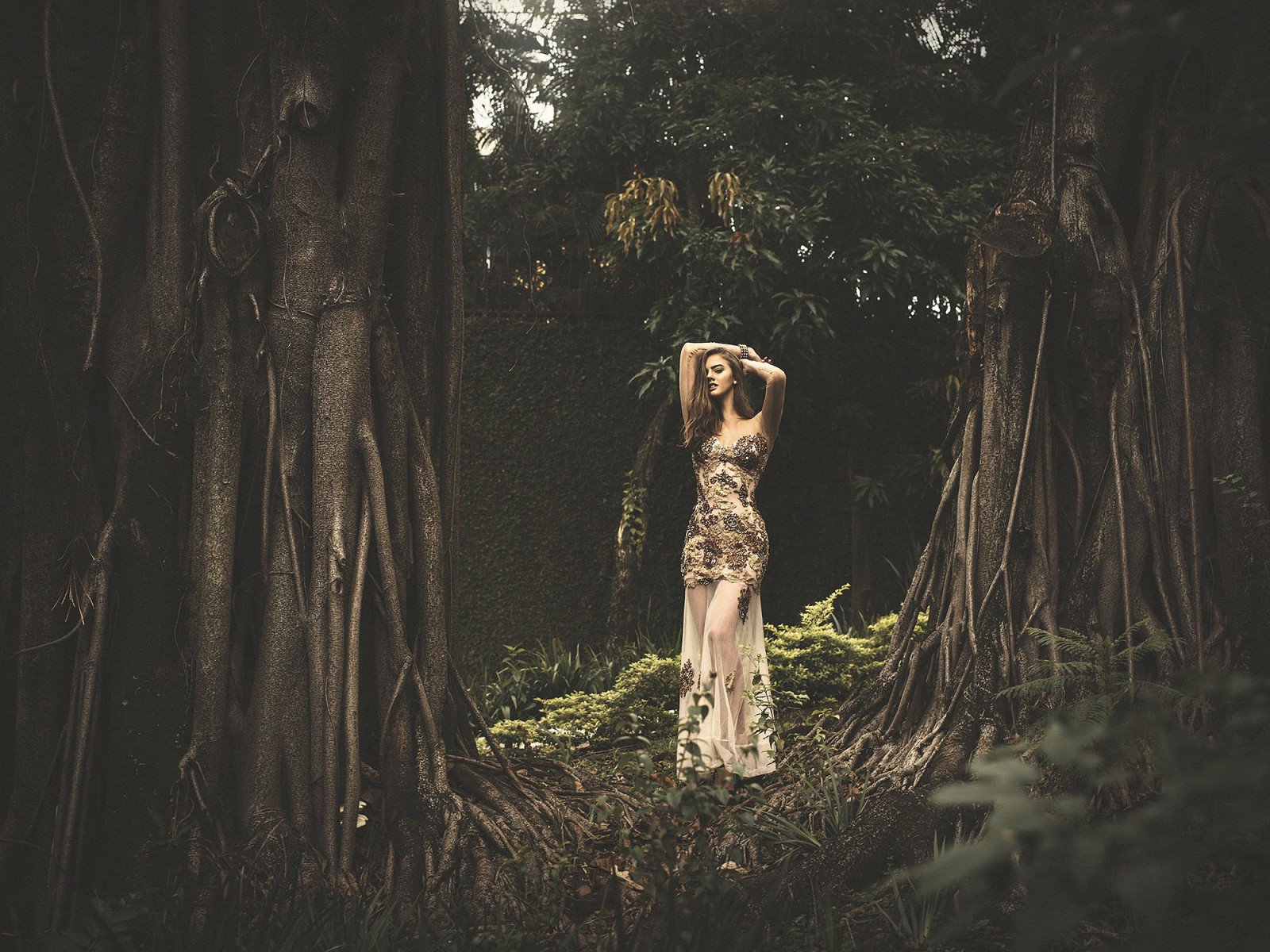 Wallpaper : sunlight, trees, forest, women outdoors, model, nature ...