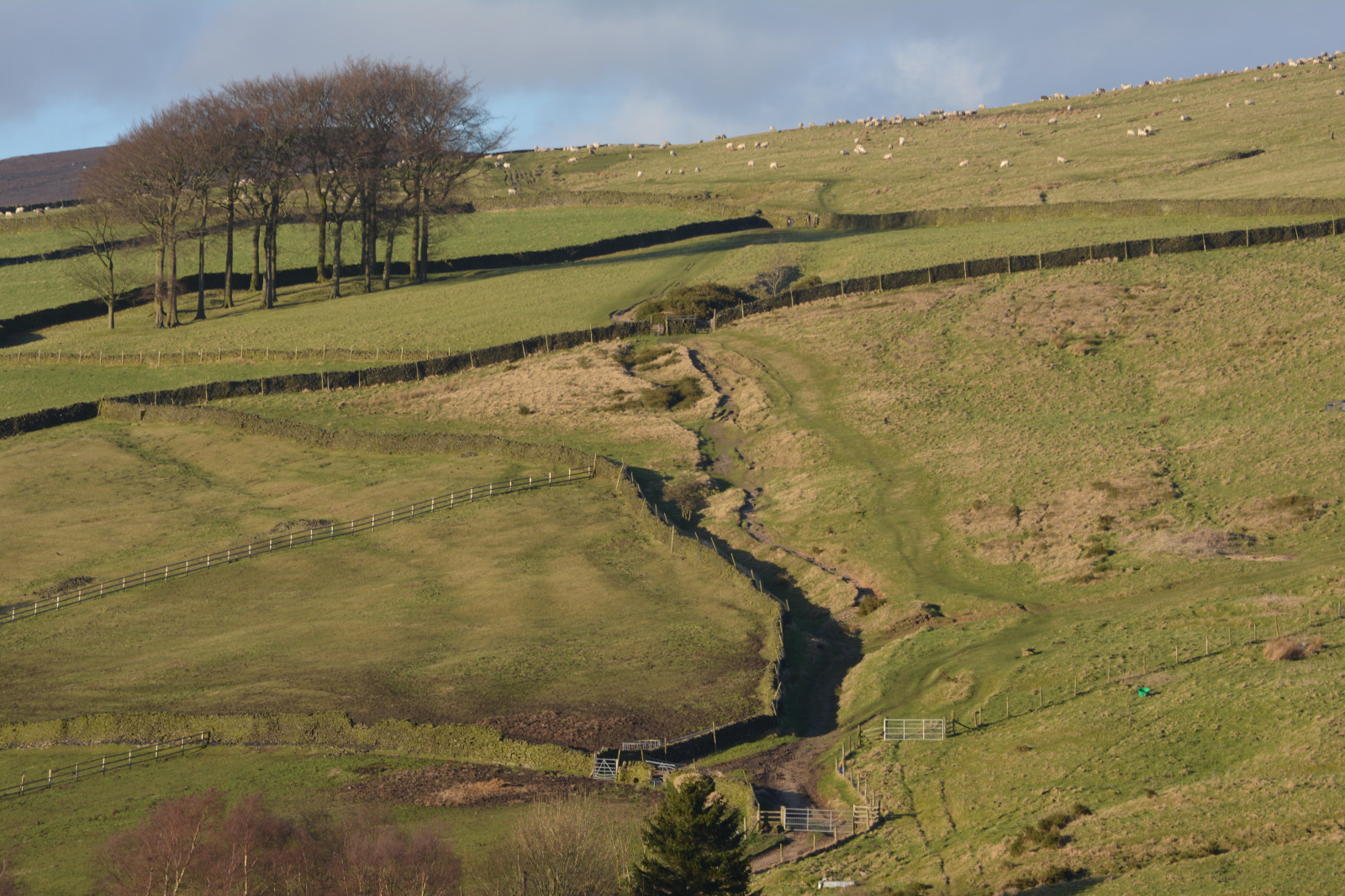 Imagini de fundal : Anglia, Regatul Unit, Derbyshire, fâneață ...