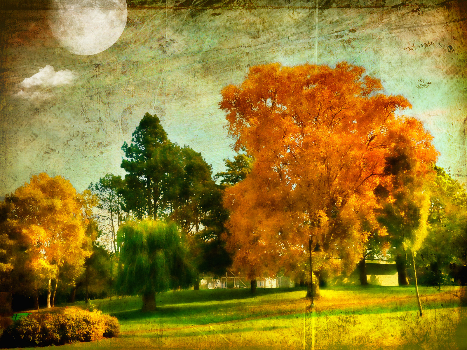 Wallpaper : park, autumn, Moon, tree, fall, october, fairfield, motat ...