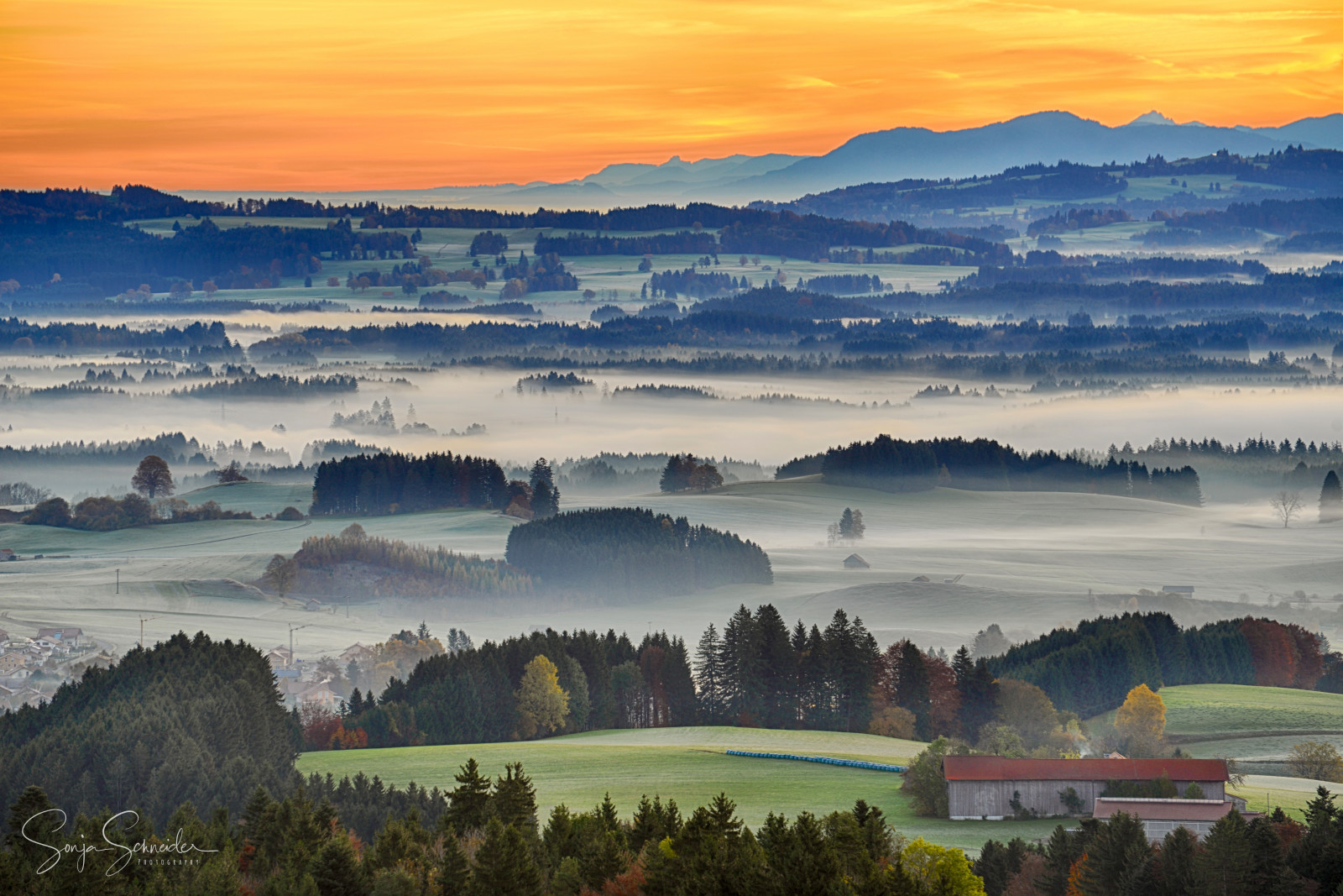 Wallpaper : fog, foggy, mist, nebel, neblig, nebelschwaden, bayern ...