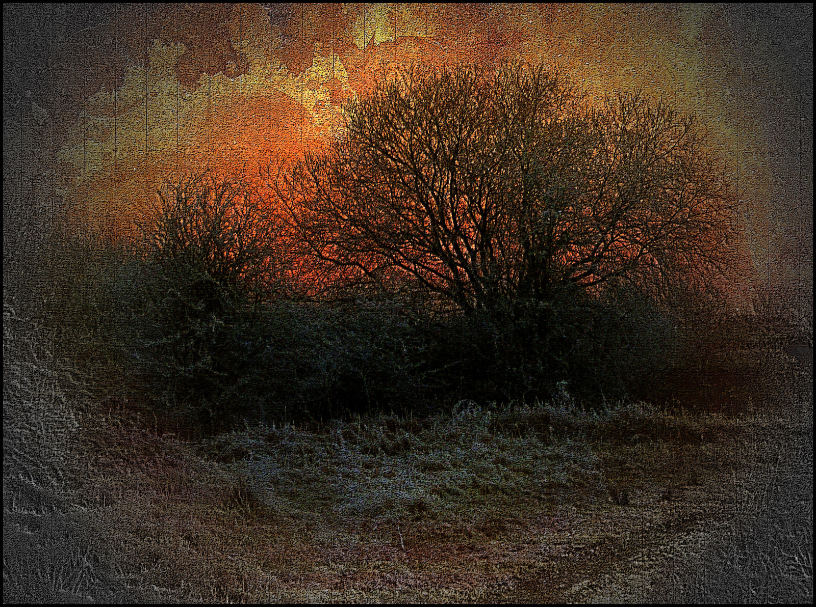 Wallpaper : canon60d, brownhills, frost, morning, sky, red, trees ...