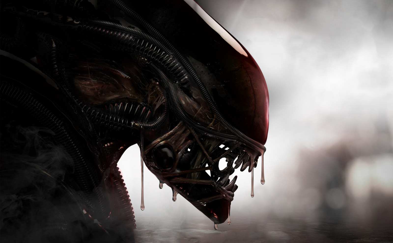 Wallpaper : aliens, Xenomorph, creature 3840x2375 - WallpaperManiac ...