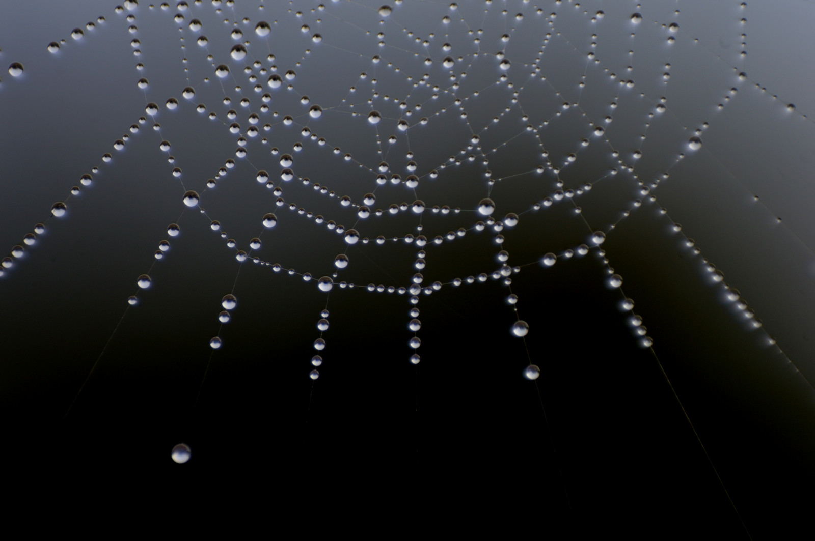 Wallpaper : abstrak, air, langit, suasana, embun, artistik, alam ...