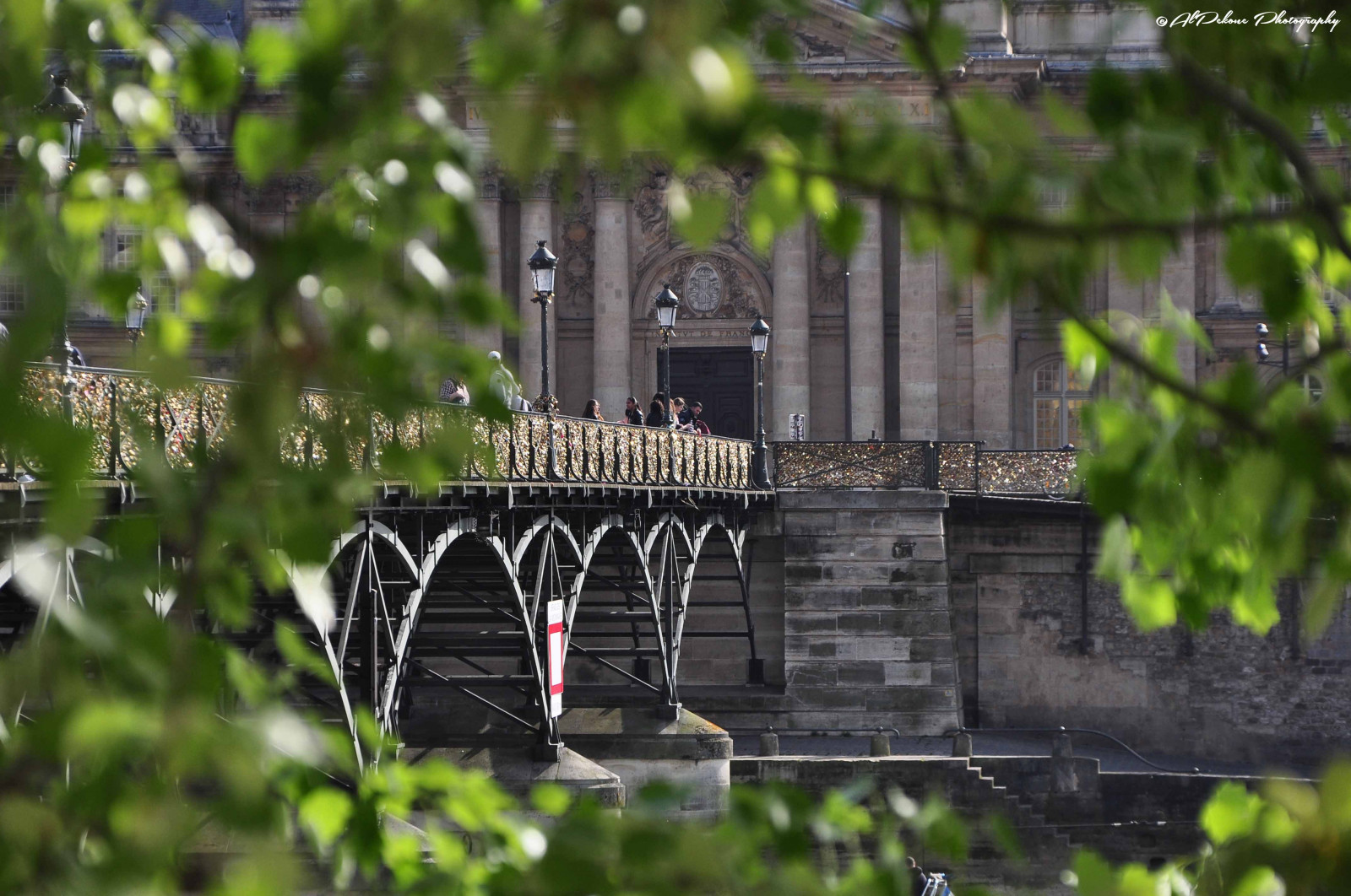 Wallpaper : city, bridge, trees, Paris, tree, monument, nature ...