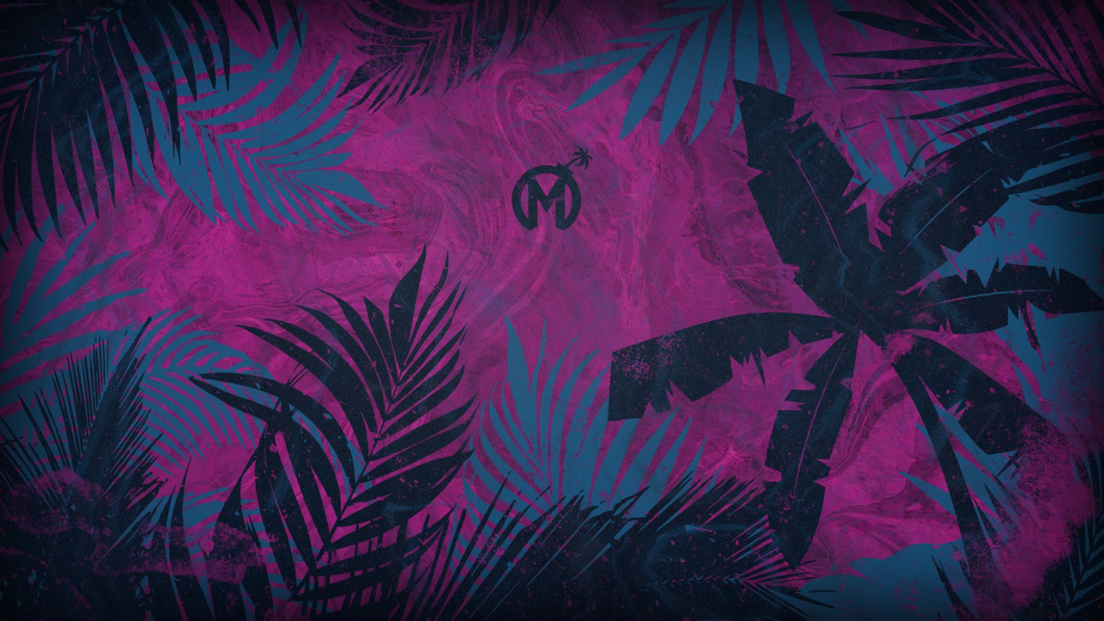 Imagini de fundal : Violet, frunze, arecales, roz, terrestrial plant ...