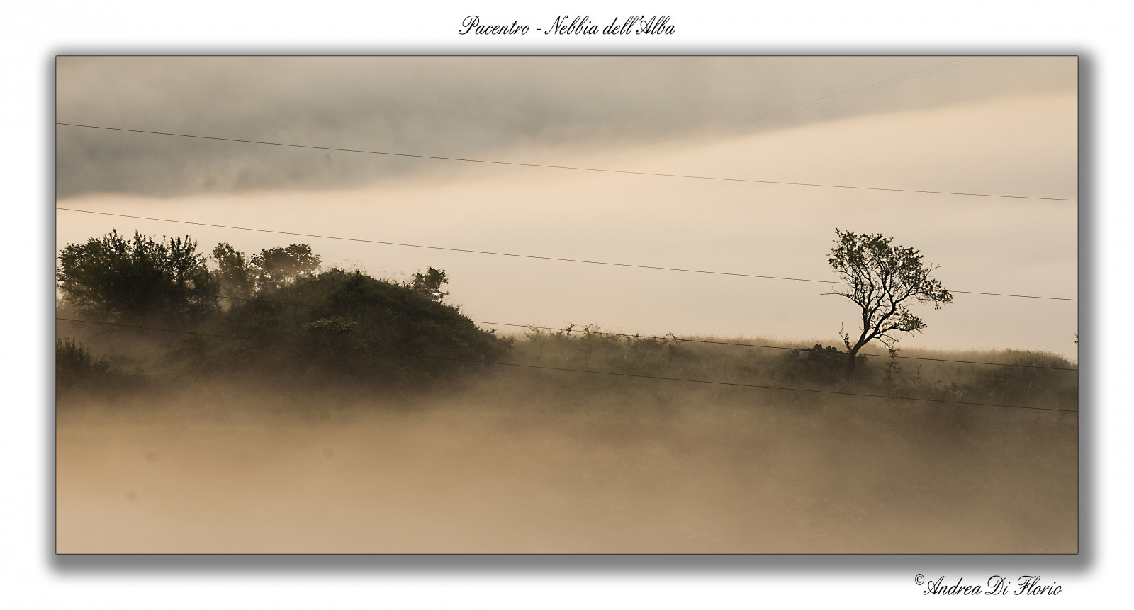 Wallpaper : sky, morning, mist, landscape, ecoregion, tree, cloud ...