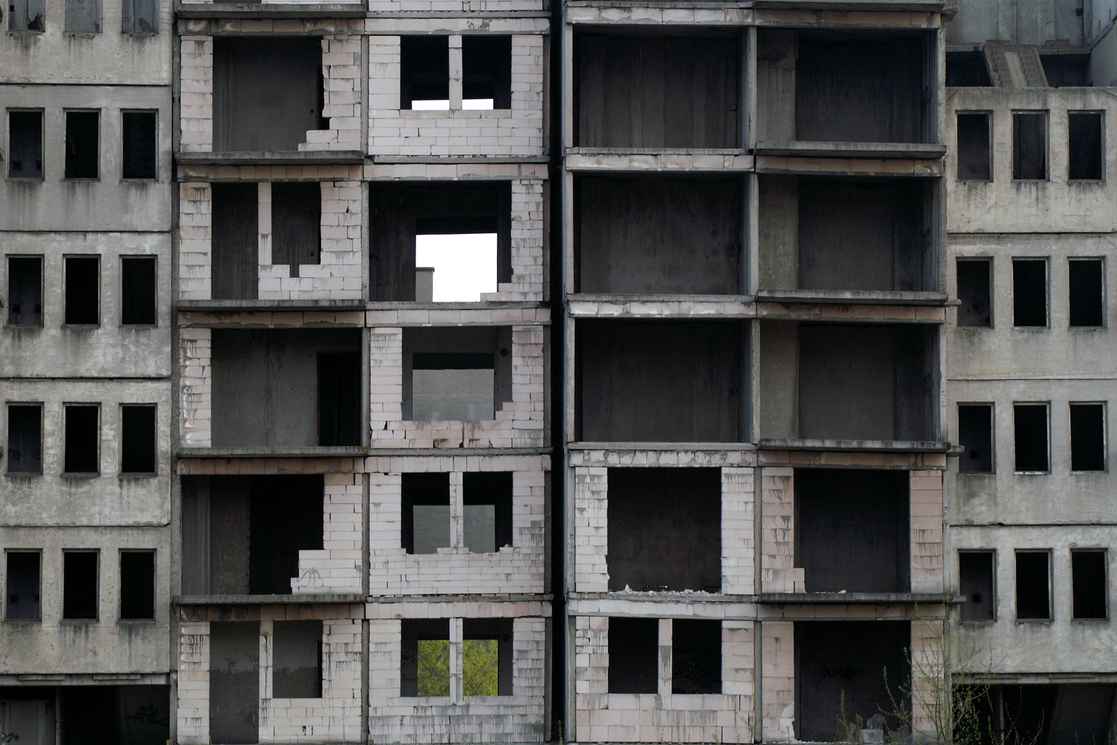 Wallpaper : trees, old, window, building, abandoned, sky, bricks, house ...