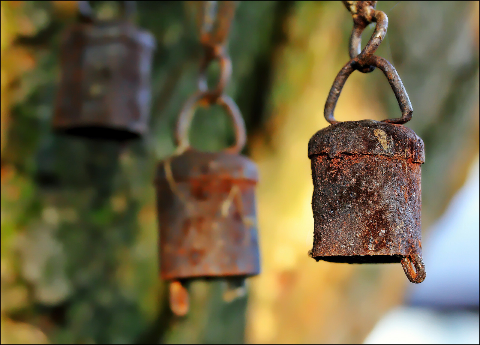 Wallpaper : metal, bell, rust, branch 3952x2841 - - 912815 - HD ...