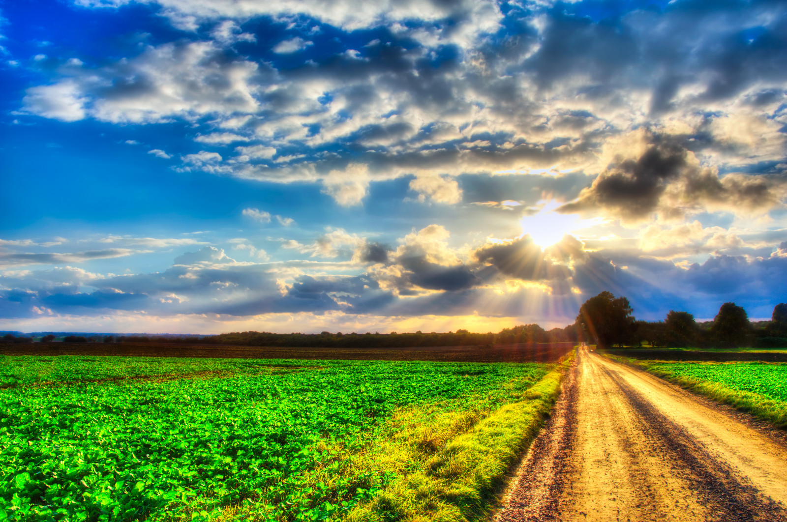 Wallpaper : road, trees, light, sunset, summer, sky, Sun, lund, nature ...