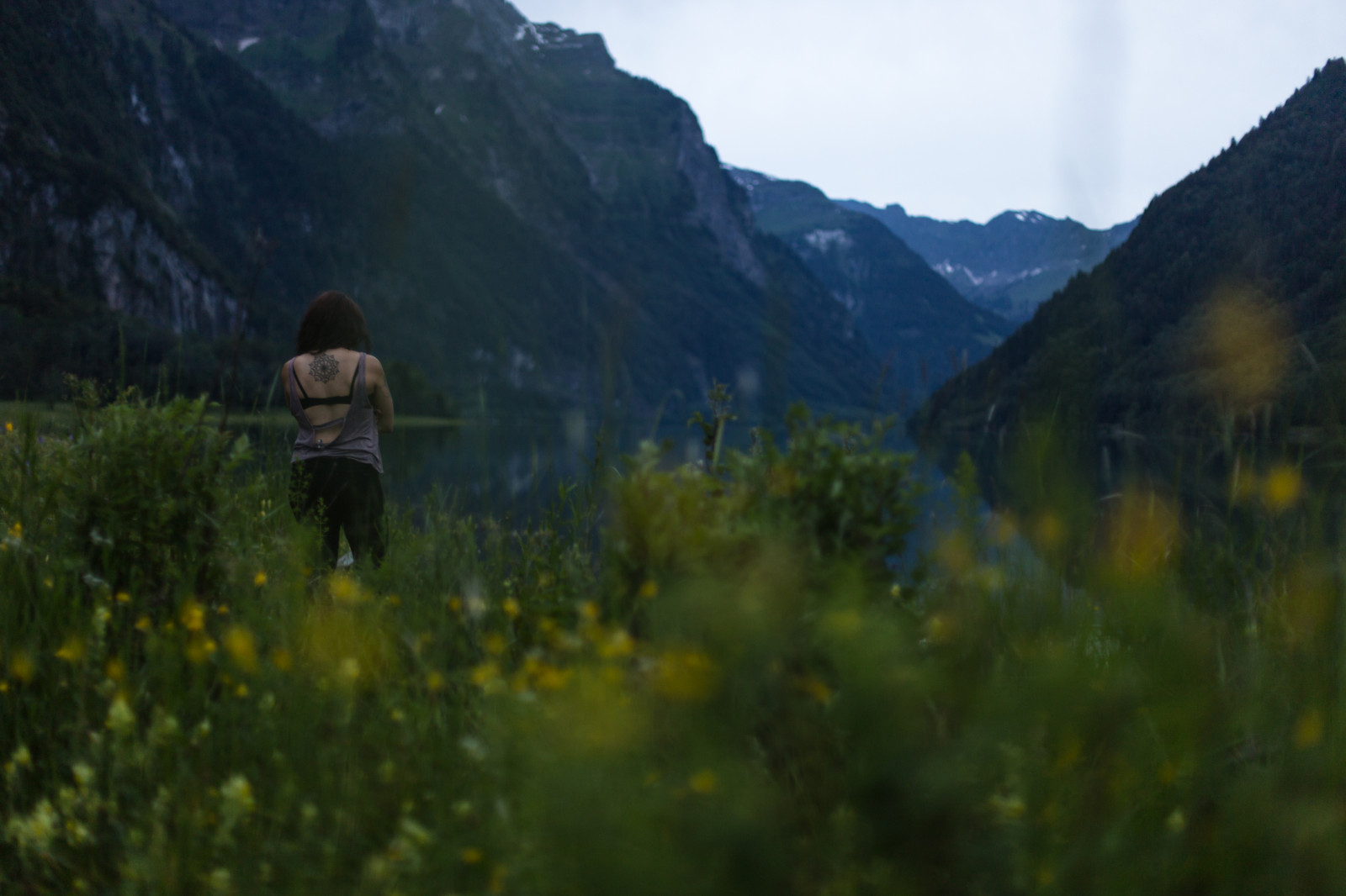 Wallpaper : portrait, landscape, sommer, creative, commons, CC, alessia ...