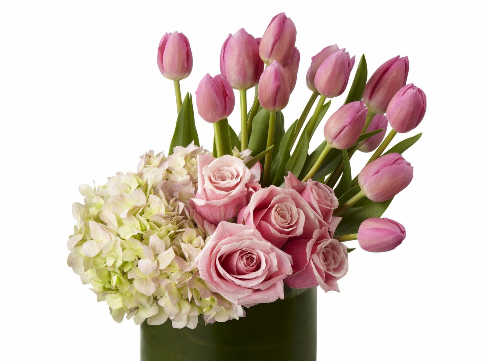 Sfondi : Rose, tulipani, ortensia, fiori, mazzo, sfondo bianco ...