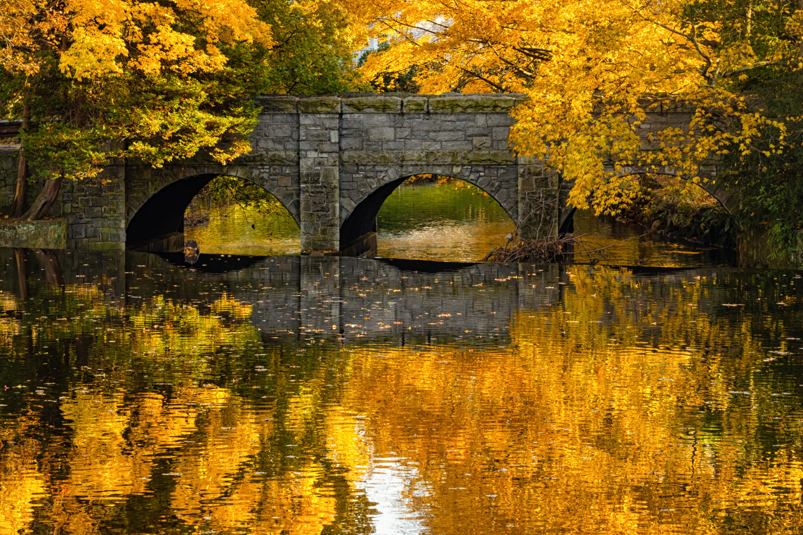 Taustakuvat : auringonvalo, maisema, luonto, heijastus, keltainen, ilta ...