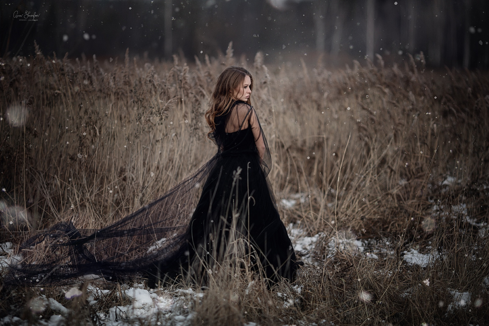 Wallpaper : black dress, nature, model, women outdoors 2048x1366 ...